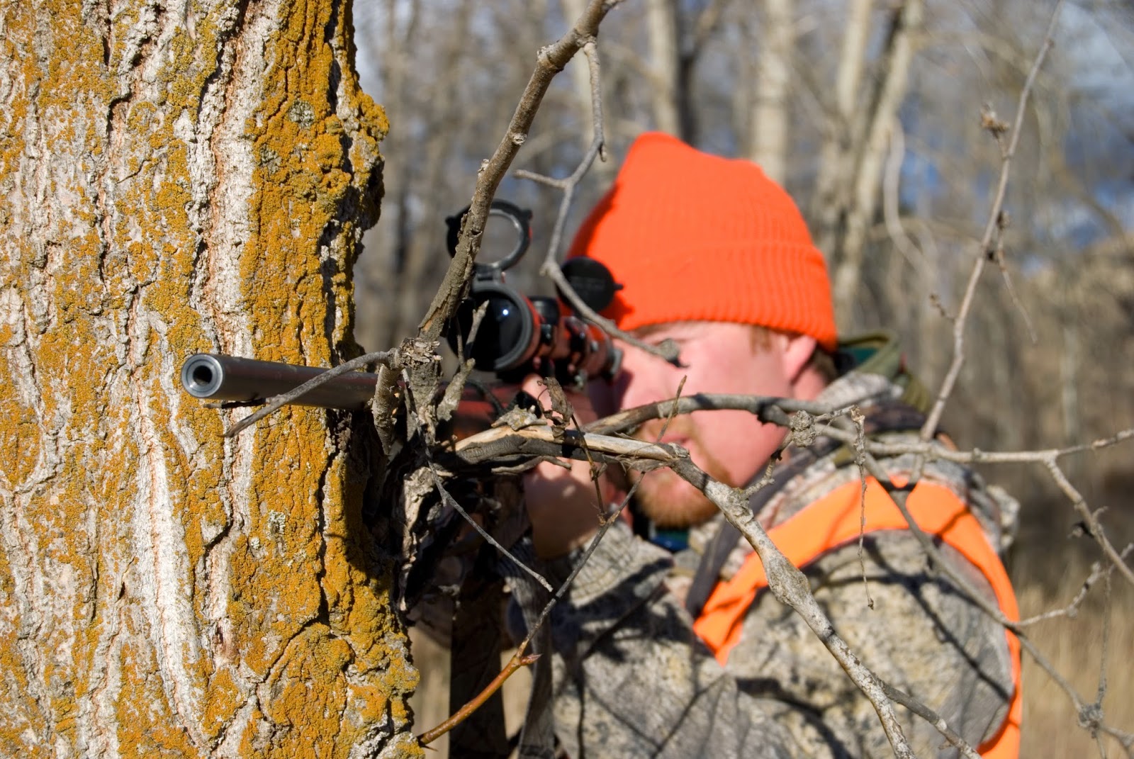 Scientific Research Speaks Loudly: Hunting Is Conservation | Rocky ...