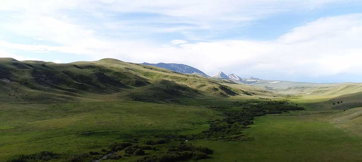 Robb-Ledford Wildlife Management Area - Elk Country Chronicles | RMEF ...