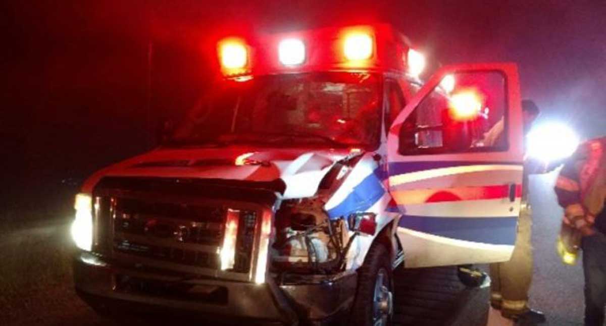 Ambulance Strikes, Kills Two Elk in West Virginia | RMEF Media | Rocky ...