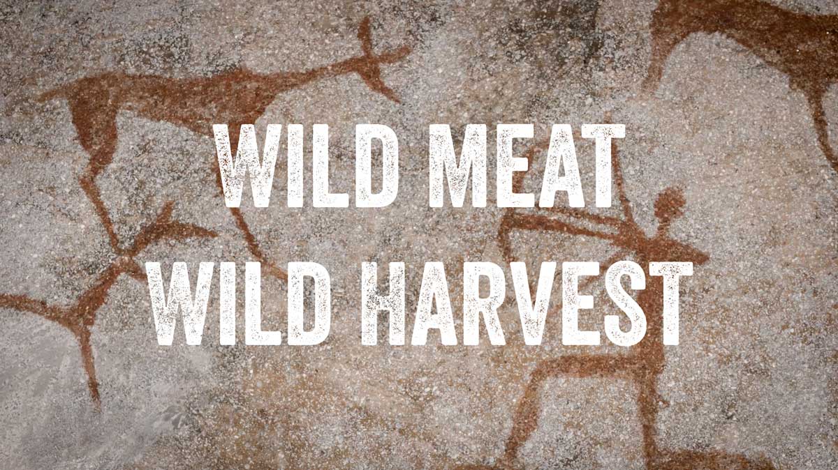 Wild Meat, Wild Harvest - An Elk Network Original | RMEF Media | Rocky ...