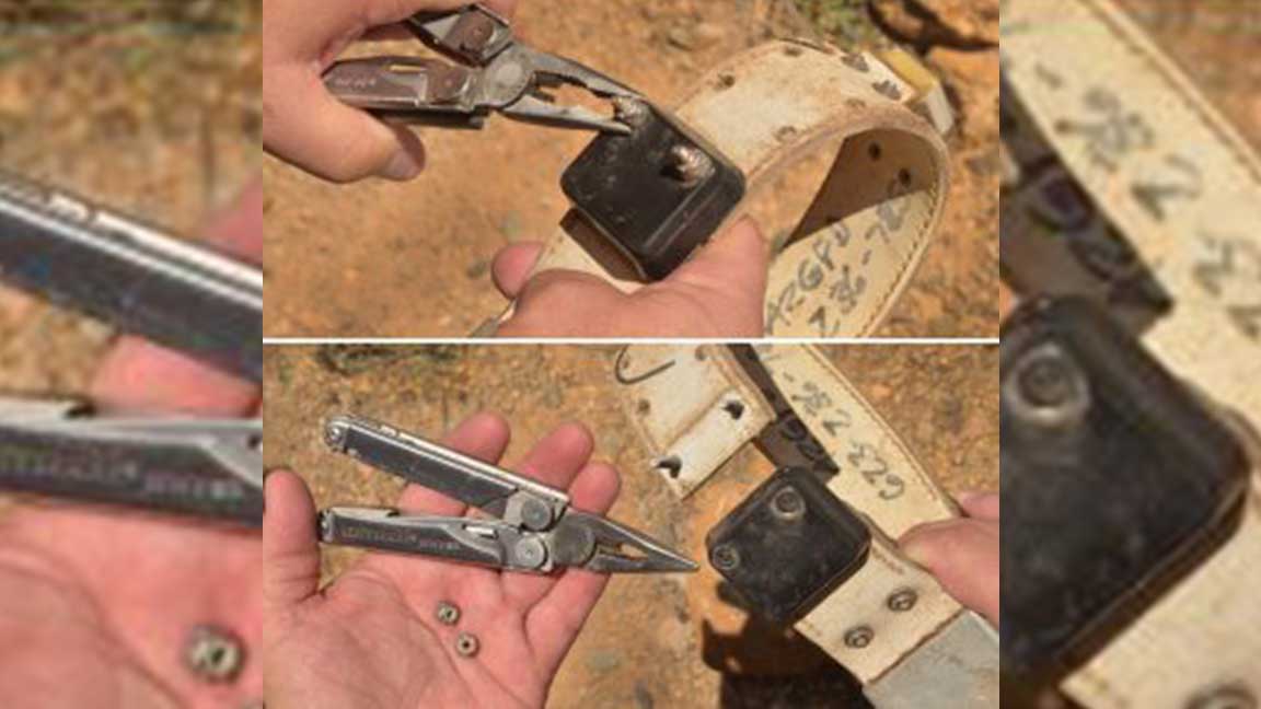 Hunters Urged to Save Tracking Collars | RMEF Media | Rocky Mountain ...