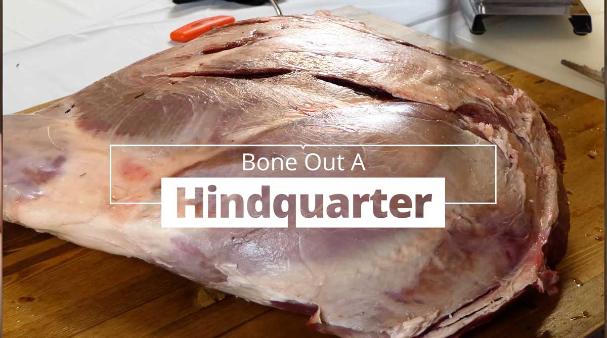Bone Out A Hindquarter | RMEF Media | Rocky Mountain Elk Foundation