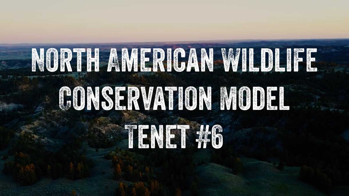 North American Wildlife Conservation Model - Tenet #6 | RMEF Media ...