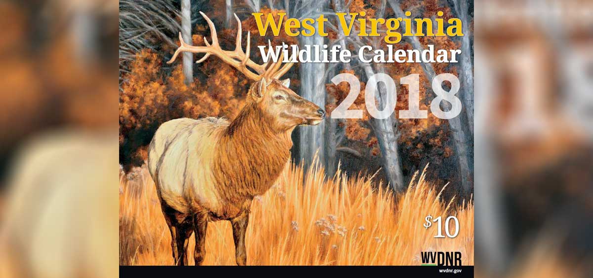 Elk Featured on West Virginia Wildlife Calendar | RMEF Media | Rocky ...