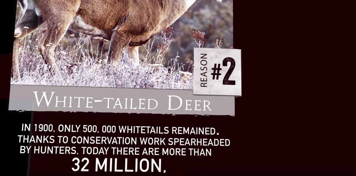 Reason #2 Hunting IS Conservation | RMEF Media | Rocky Mountain Elk ...