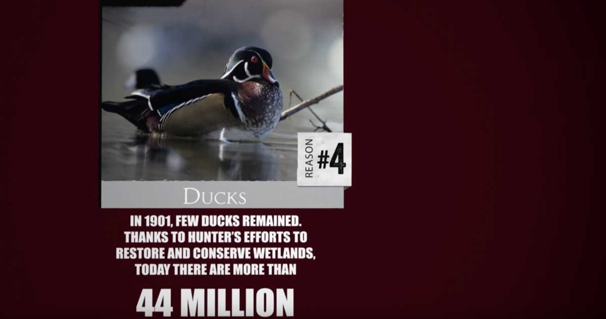 Reason #4 Hunting Is Conservation | RMEF Media | Rocky Mountain Elk ...