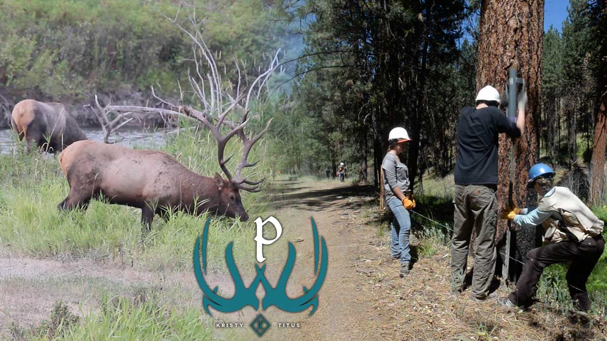 RMEF Accomplishments in Big Sky Country | Rocky Mountain Elk Foundation