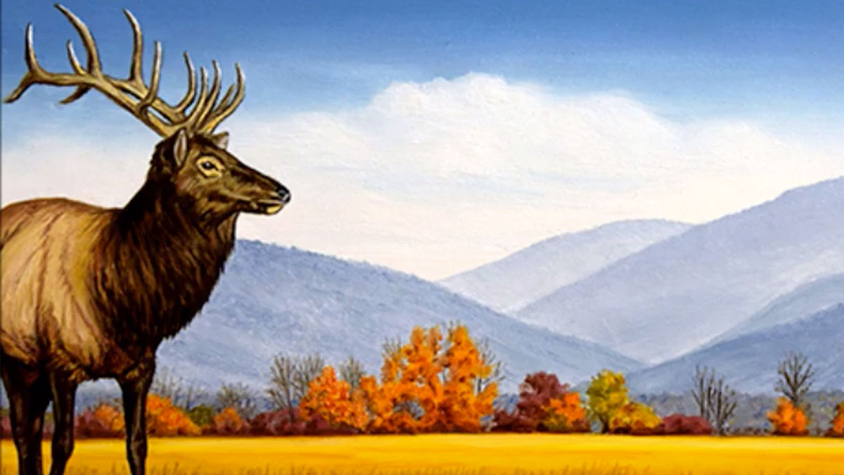 West Virginia Unveils New Elk License Plate | RMEF Media | Rocky ...