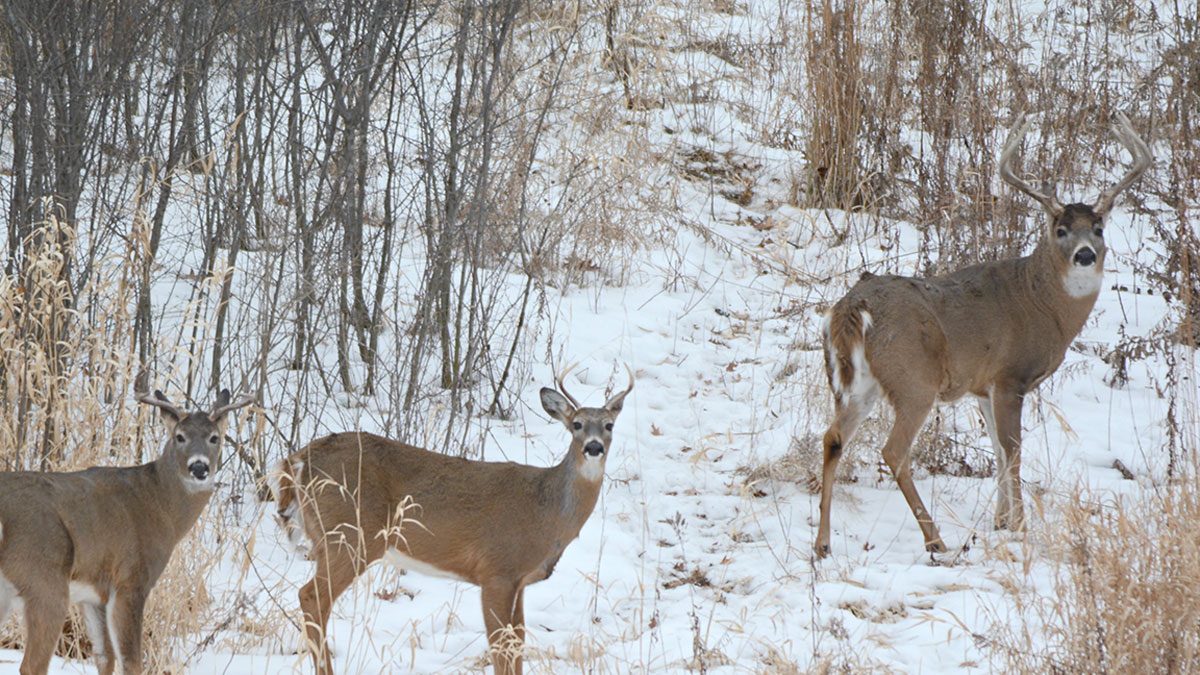 Minnesota Offers Grants to Get More People Hunting and Fishing | Rocky ...