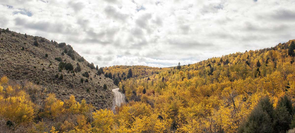 Tex Creek Idaho - onX Hunt Public Access Project | RMEF Media | Rocky ...