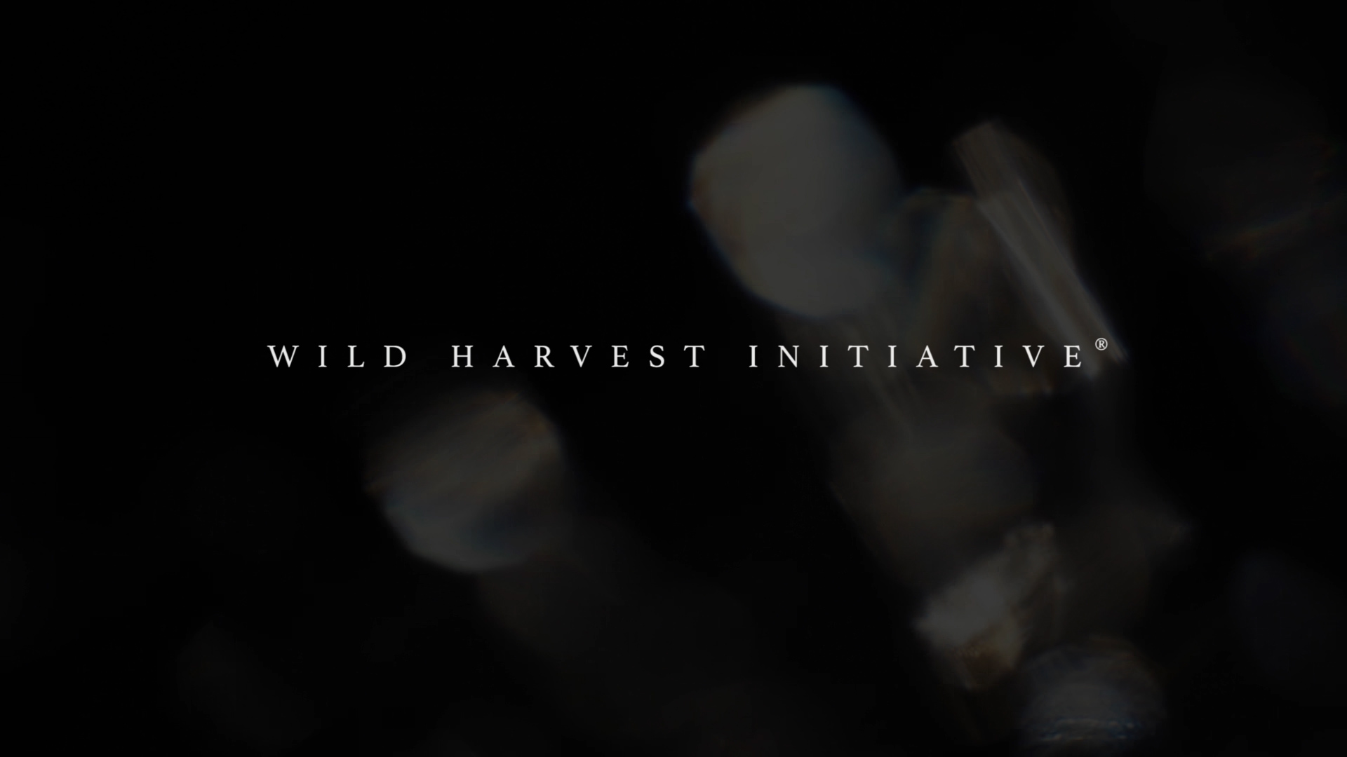 The Wild Harvest Initiative | RMEF Media | Rocky Mountain Elk Foundation