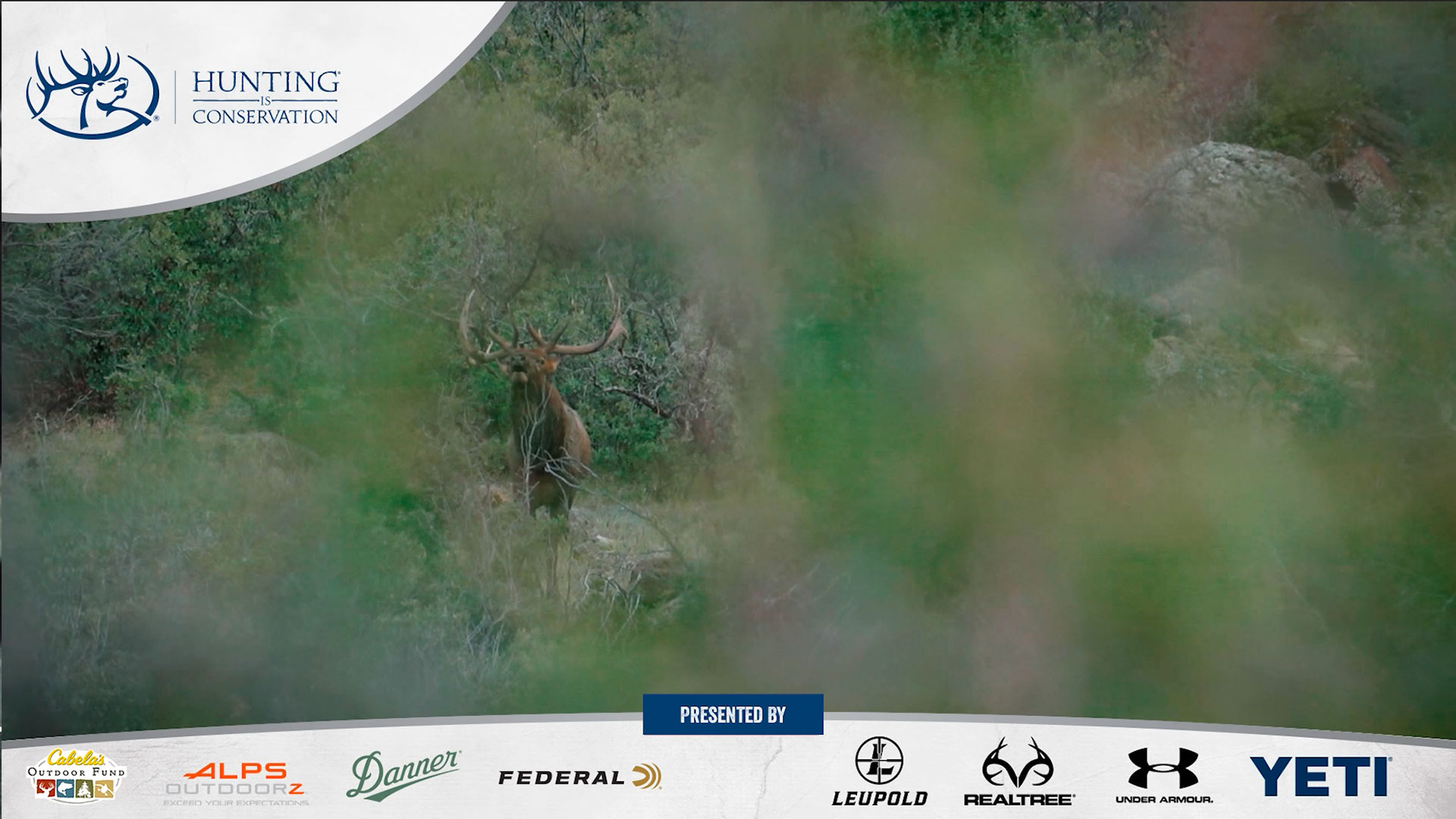 Hunting Is Conservation - Countering the Argument: Hunters cause ...