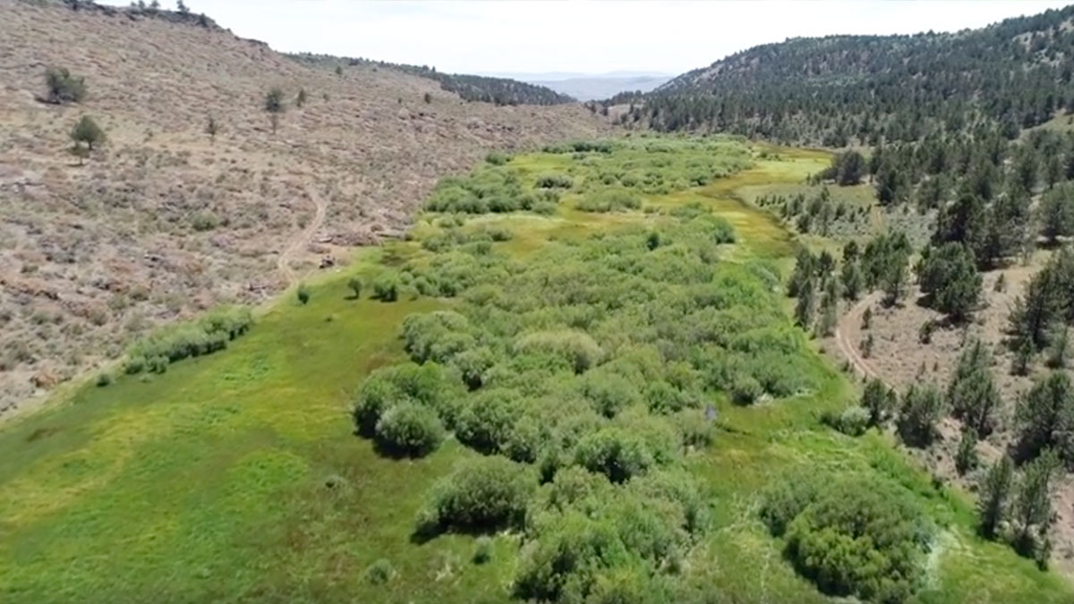 Oregon Wetland Conserved Thanks to BLM, RMEF, Others | RMEF Media ...