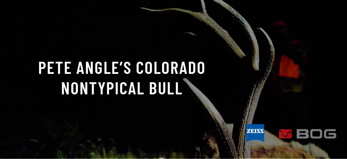 Pete Angle's Colorado Nontypical Bull Elk | Rocky Mountain Elk Foundation