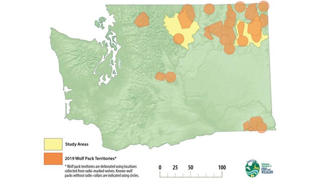 Biologists Use Drone in Washington Predator-Prey Study | RMEF Media ...