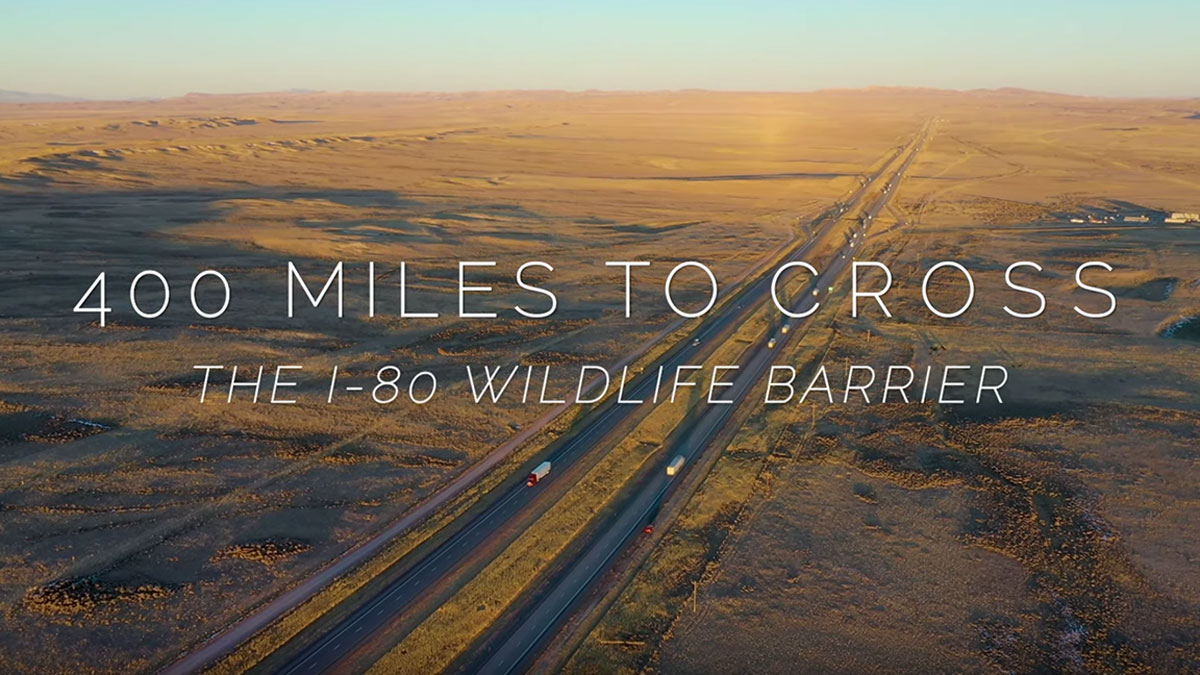 New Film Shines Light on Deadly Wyoming Interstate, Possible Solutions ...