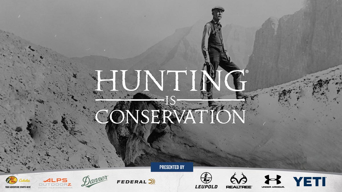 Hunting Is Conservation - Hunting Helped Restore Ailing Wildlife ...