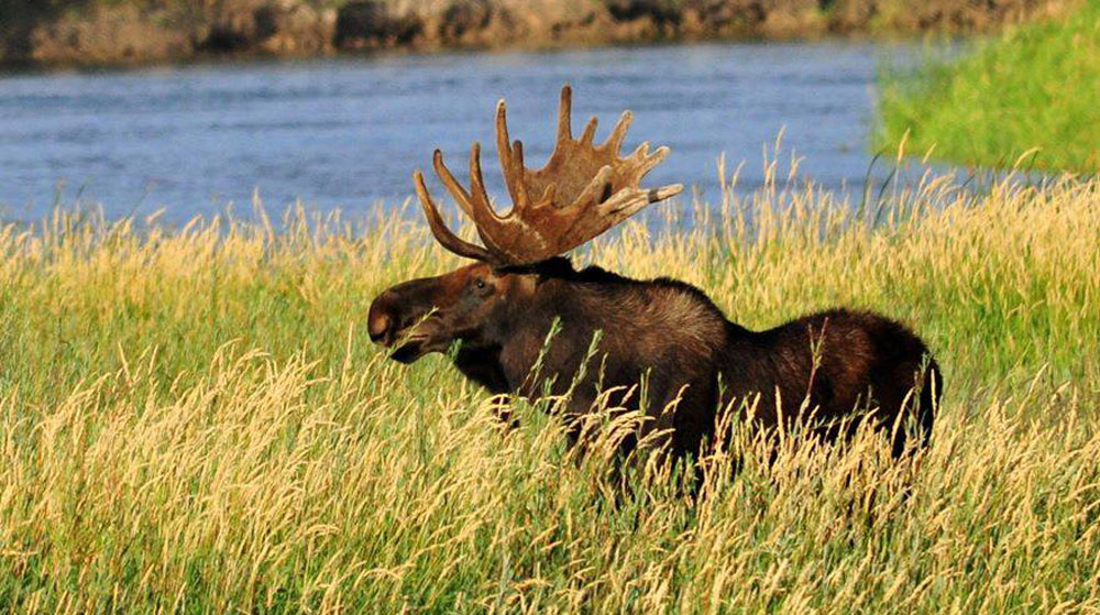 Largest Expansion of Hunting, Fishing Access Announced | Rocky Mountain ...