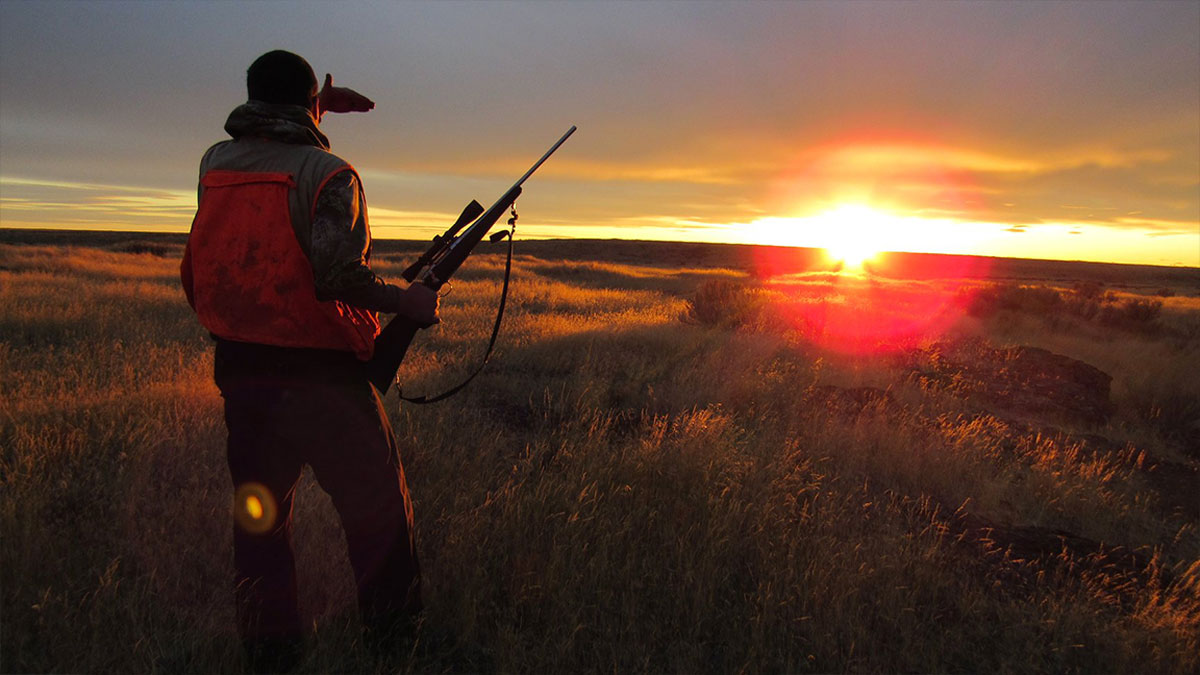 Washington Unveils 2020 Hunting Preview | RMEF Media | Rocky Mountain ...
