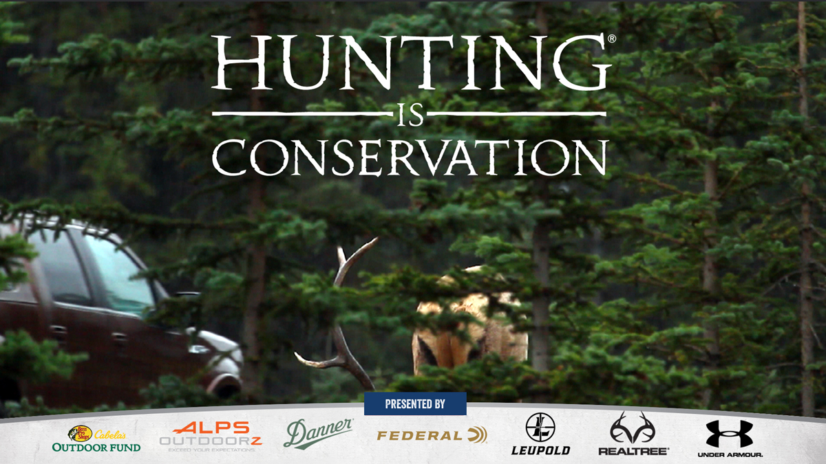 Hunting Is Conservation - Hunting Reduces Vehicle-Wildlife Collisions ...