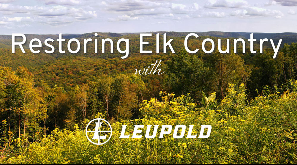 Restoring Elk Country – Susquehannock State Forest PA | RMEF Media ...
