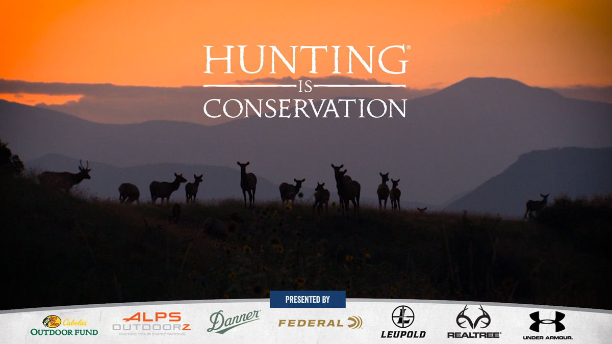 Hunting Is Conservation - Hunting, an Integral Part of our Heritage ...