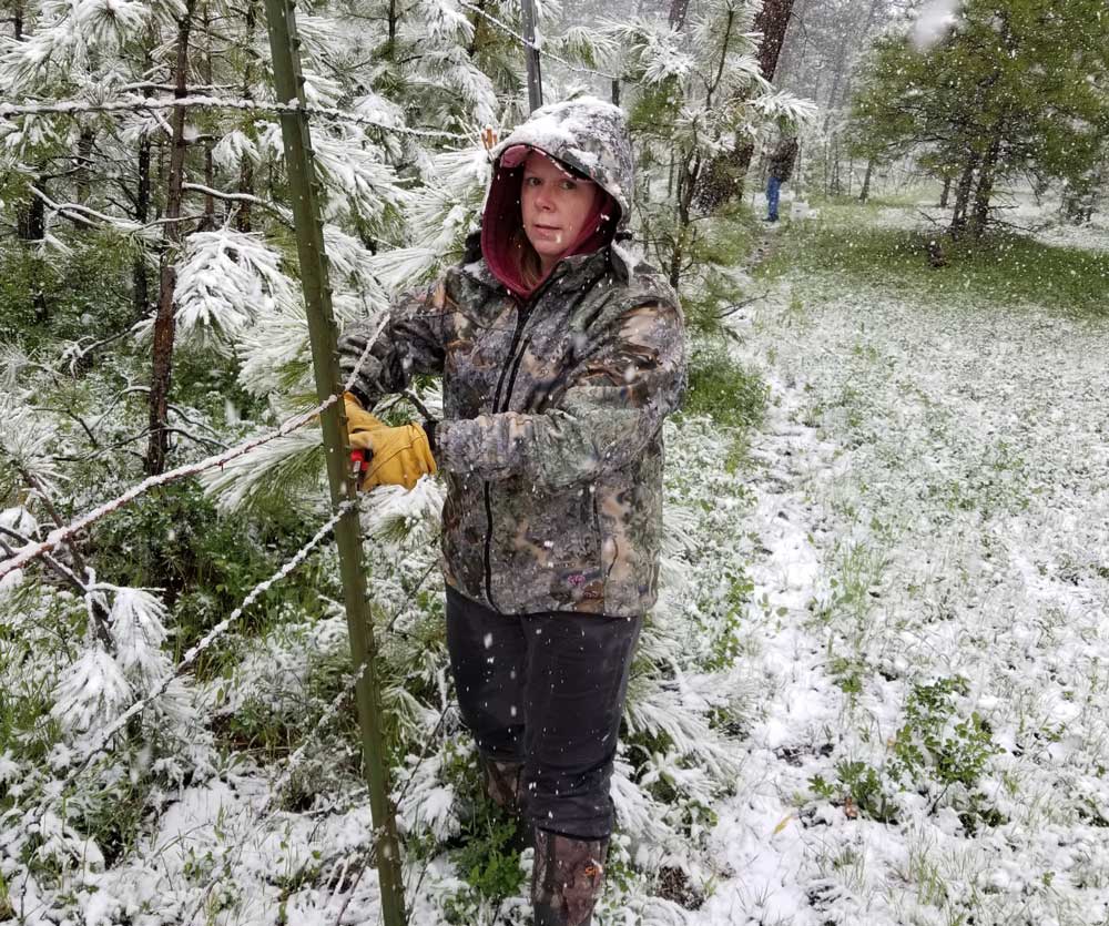 Oregon Volunteers Brave Elements to Improve Passage for Elk, Other ...