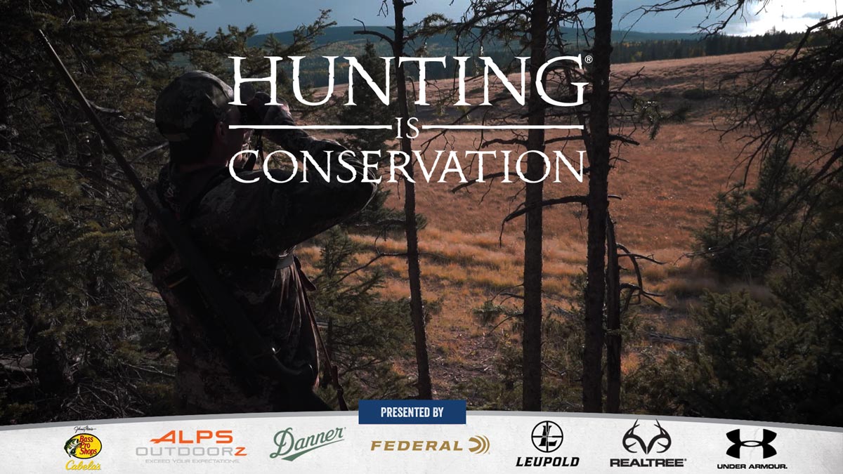 Hunting Is Conservation - The Fuzzy Future of Funding Conservation ...