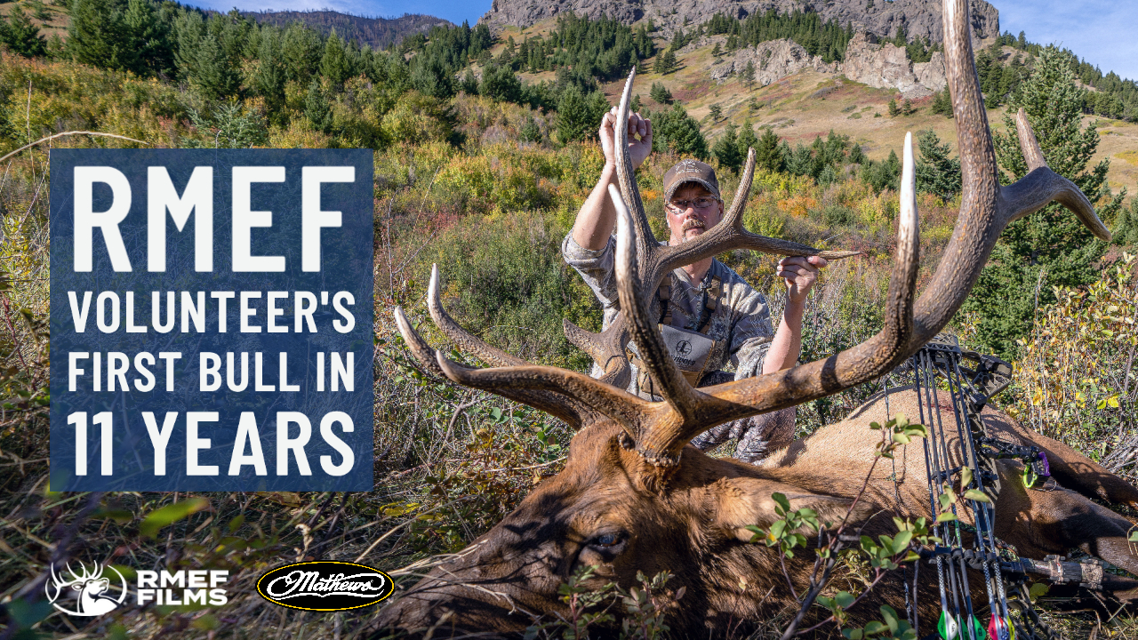 Jason McDonald Montana 6x6 Bull Elk | RMEF Media | Rocky Mountain Elk ...