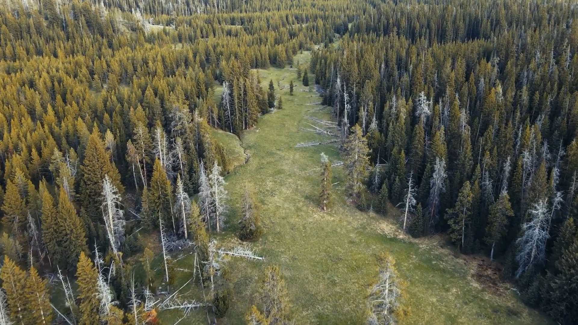 The Pittman-Robertson Act | RMEF Media | Rocky Mountain Elk Foundation