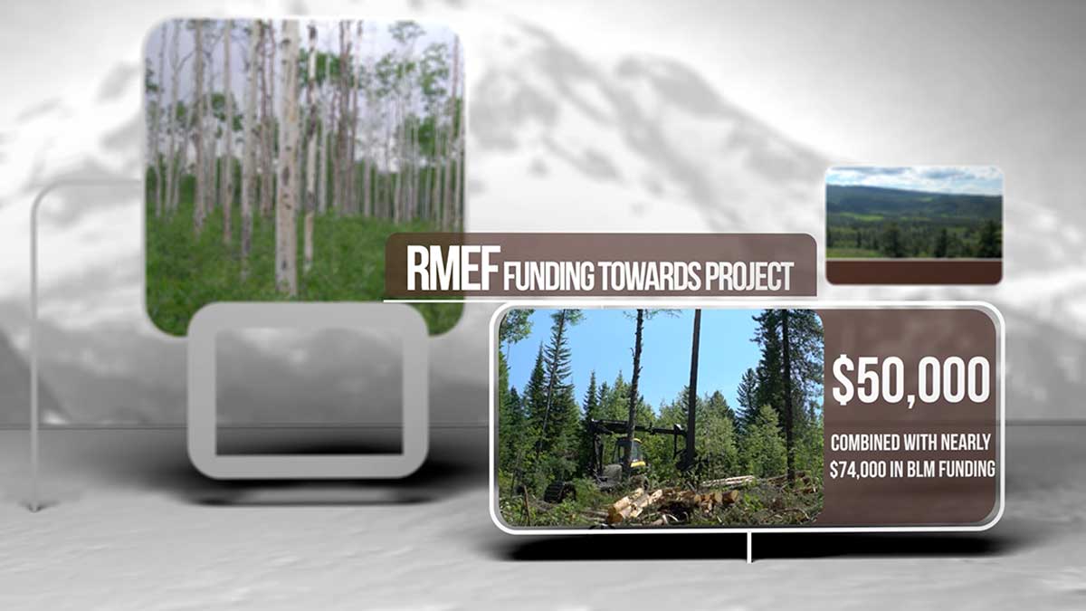 Waugh Mountain Forest Thinning Colorado - Restoring Elk country | RMEF ...