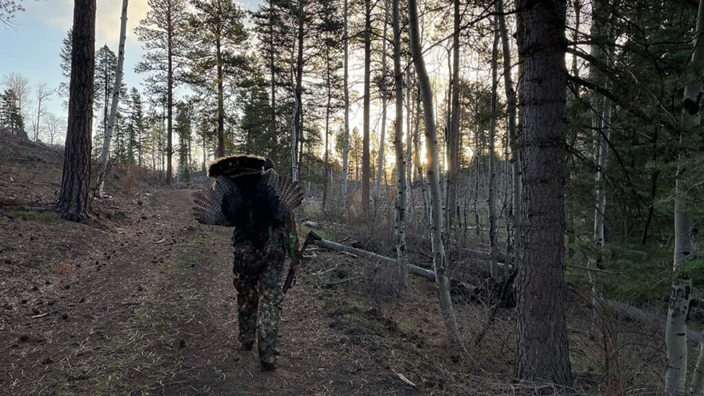 The Best Turkey Decoy Setups to Use This Spring | RMEF Media | Rocky ...
