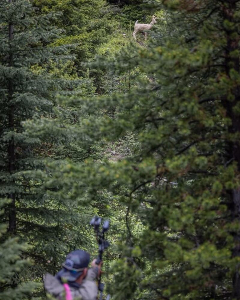 Photo Essay: 2023 RMEF MTN Festival | RMEF Media | Rocky Mountain Elk ...