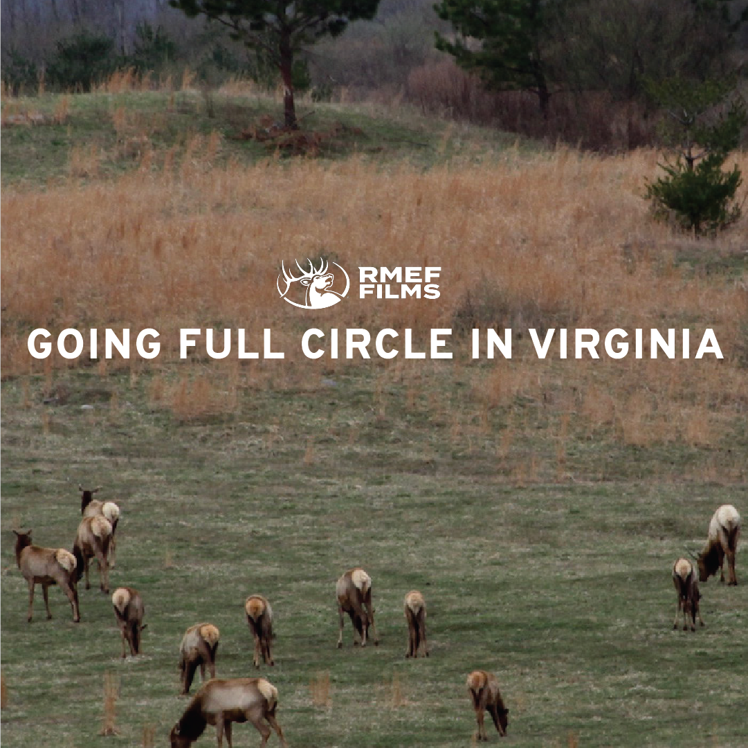Going Full Circle in Virginia - An RMEF Film | RMEF Media | Rocky ...