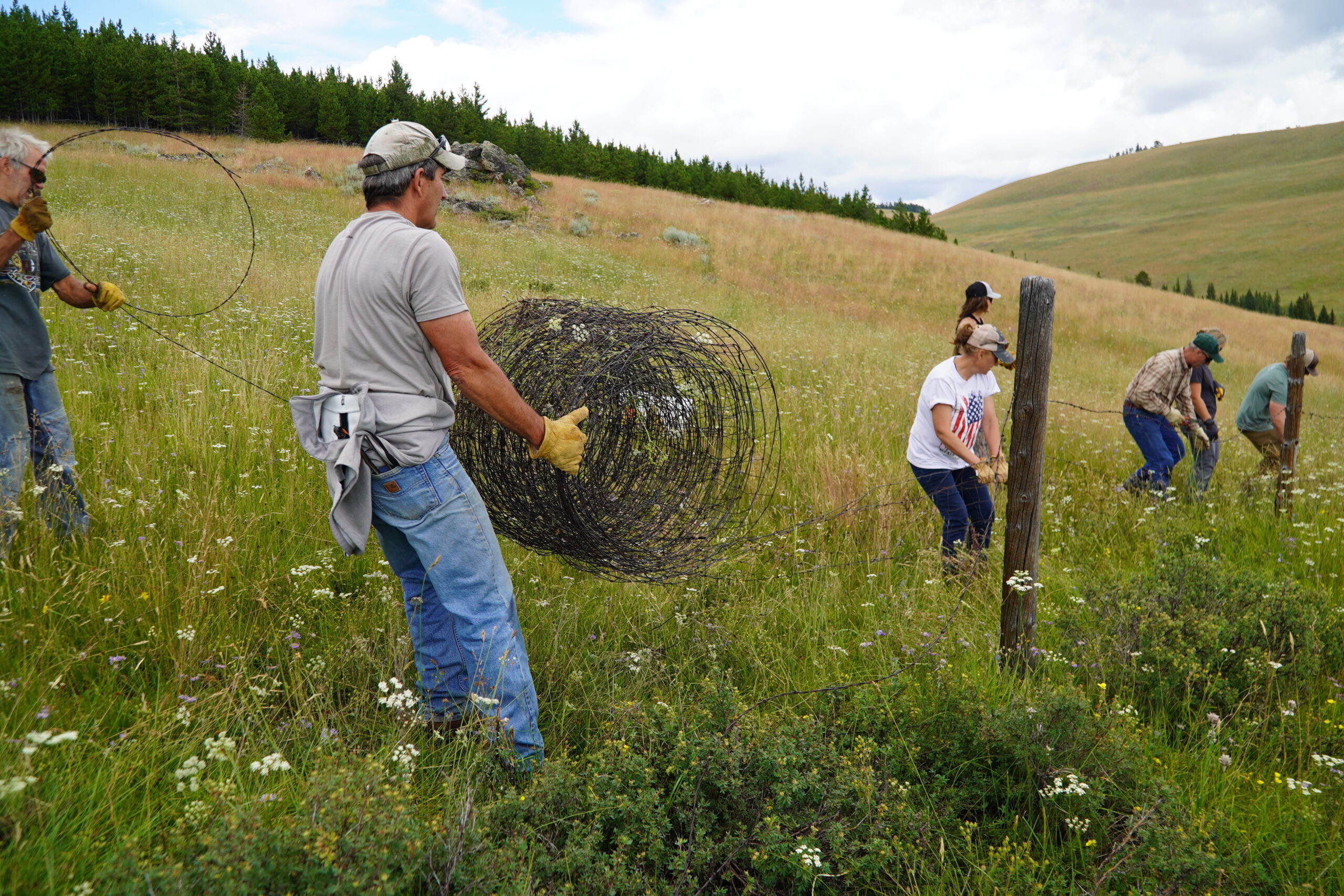 Volunteers Make Fencing ‘Friendlier’ for Wyoming Wildlife | RMEF Media ...