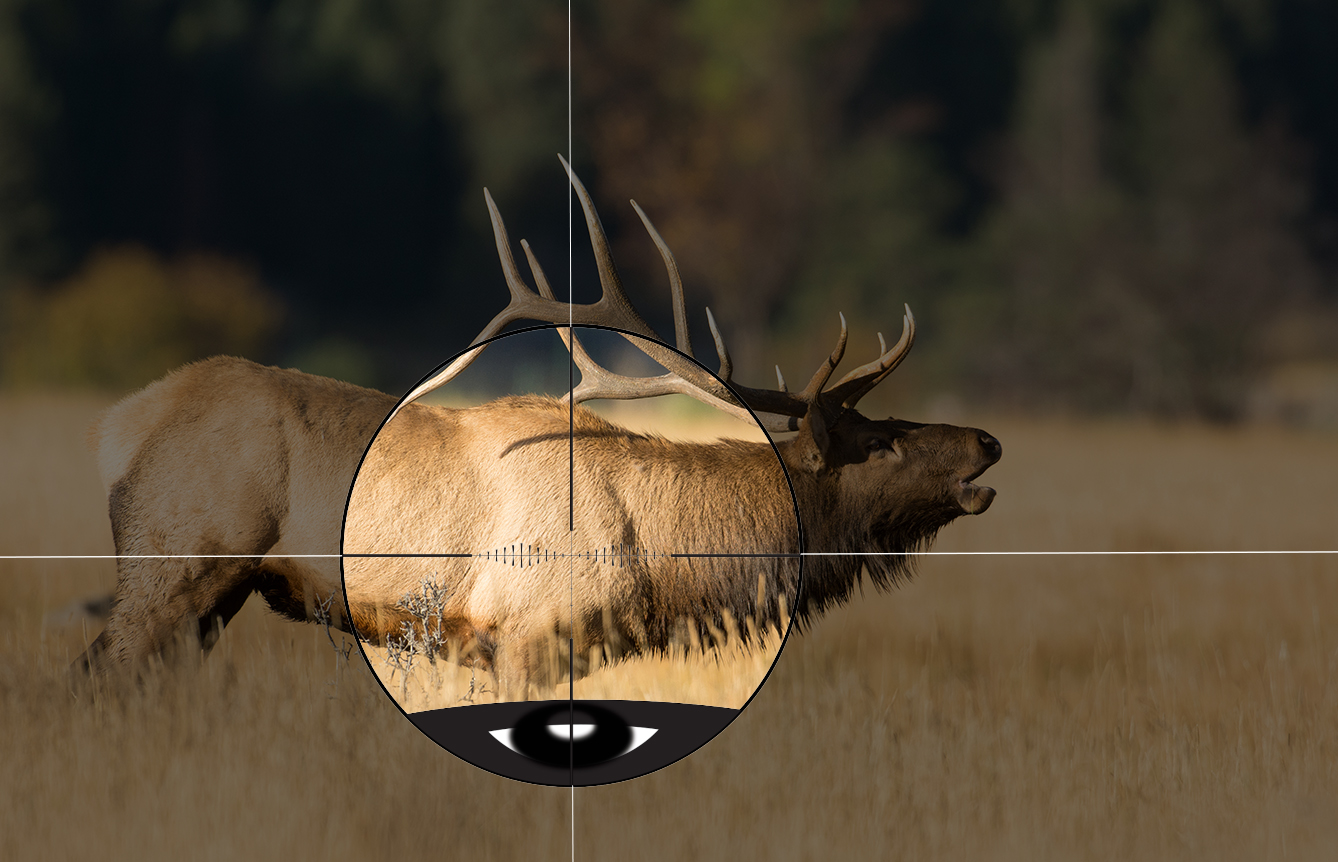Huskemaw: Simplifying Distance & Wind Maximizes Your Effective Range ...