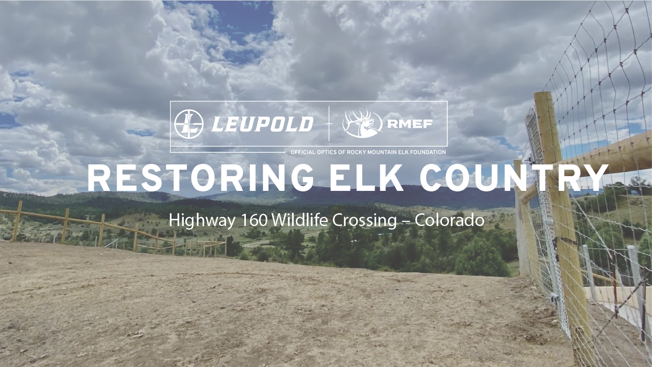 Highway 160 Wildlife Crossing – Restoring Elk Country | RMEF Media ...