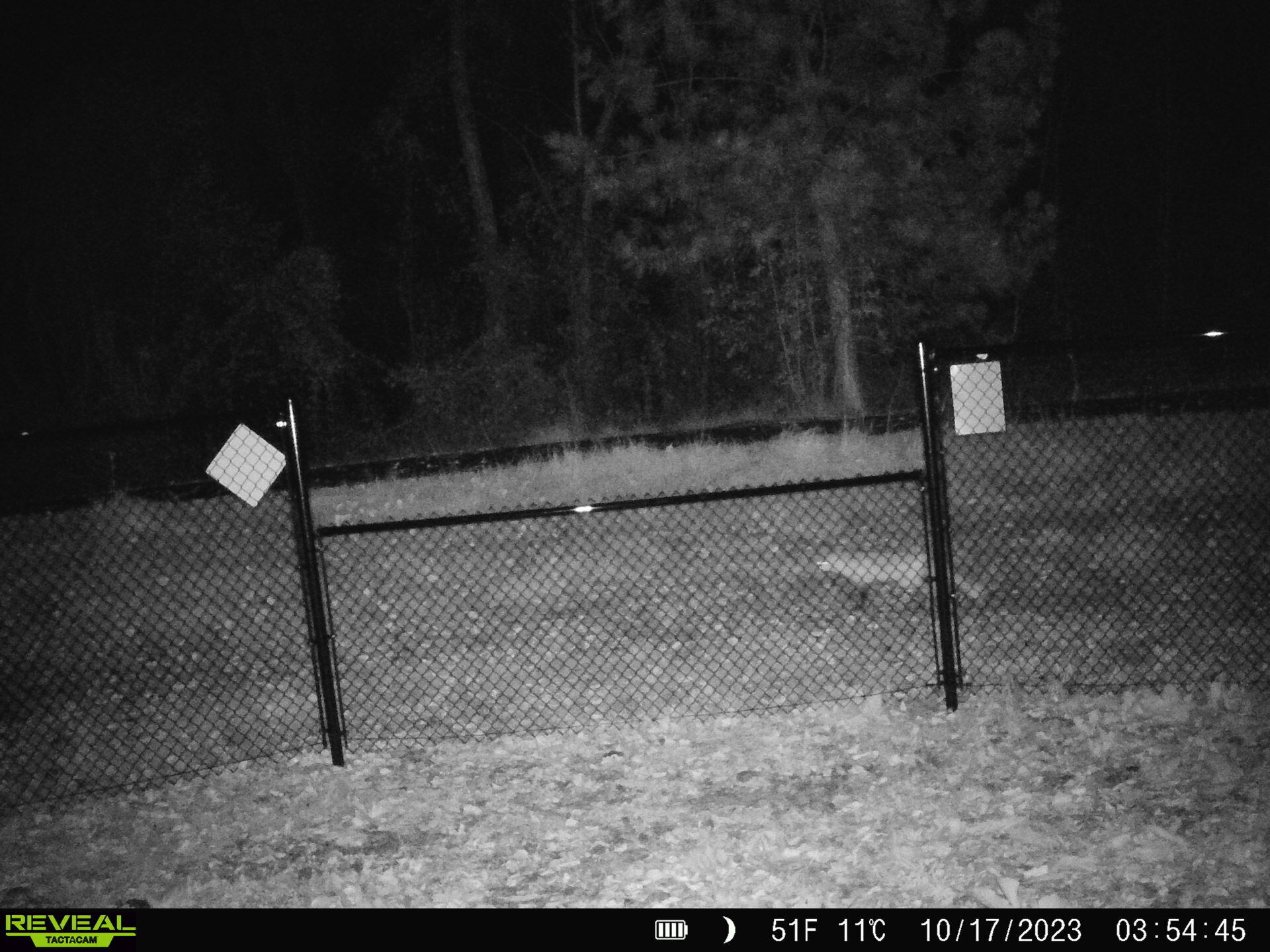 The 'Other Wildlife' of RMEF | RMEF Media | Rocky Mountain Elk Foundation