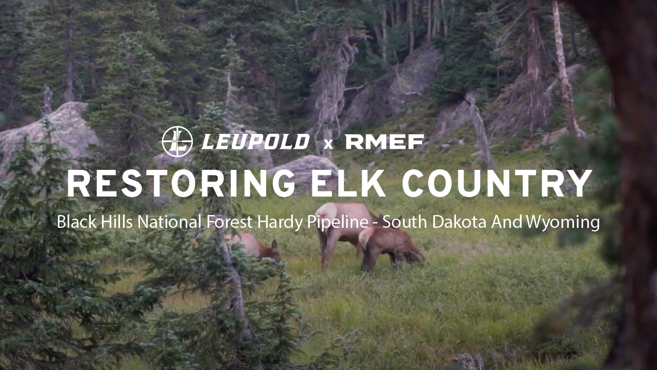 Black Hills National Forest Hardy Pipeline - Restoring Elk Country ...