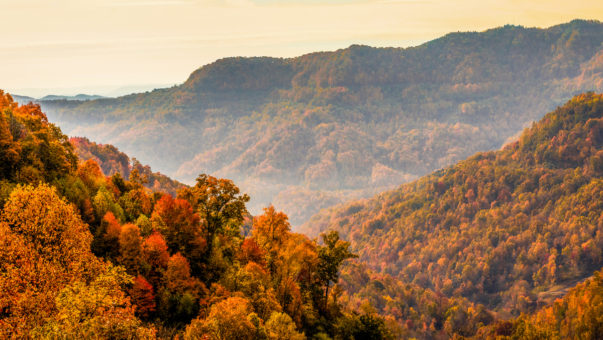 ‘Historic Conservation Milestone’ Achieved in Appalachian Elk Country ...