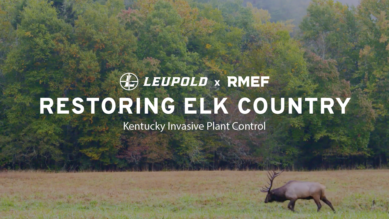 Restoring Elk Country - Invasive Plant Control | Rocky Mountain Elk ...