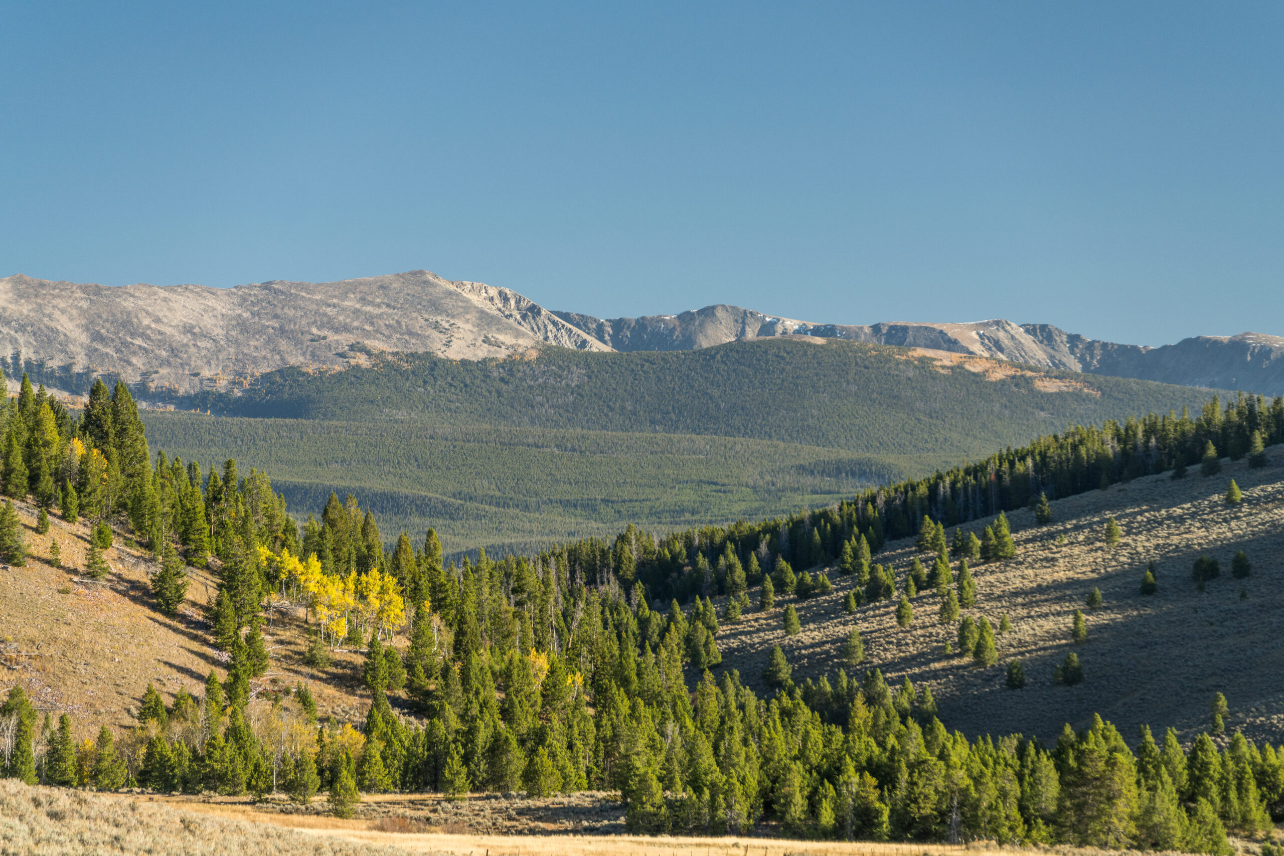 Conserved Forever – A Confluence of Conservation: Seymour Creek ...