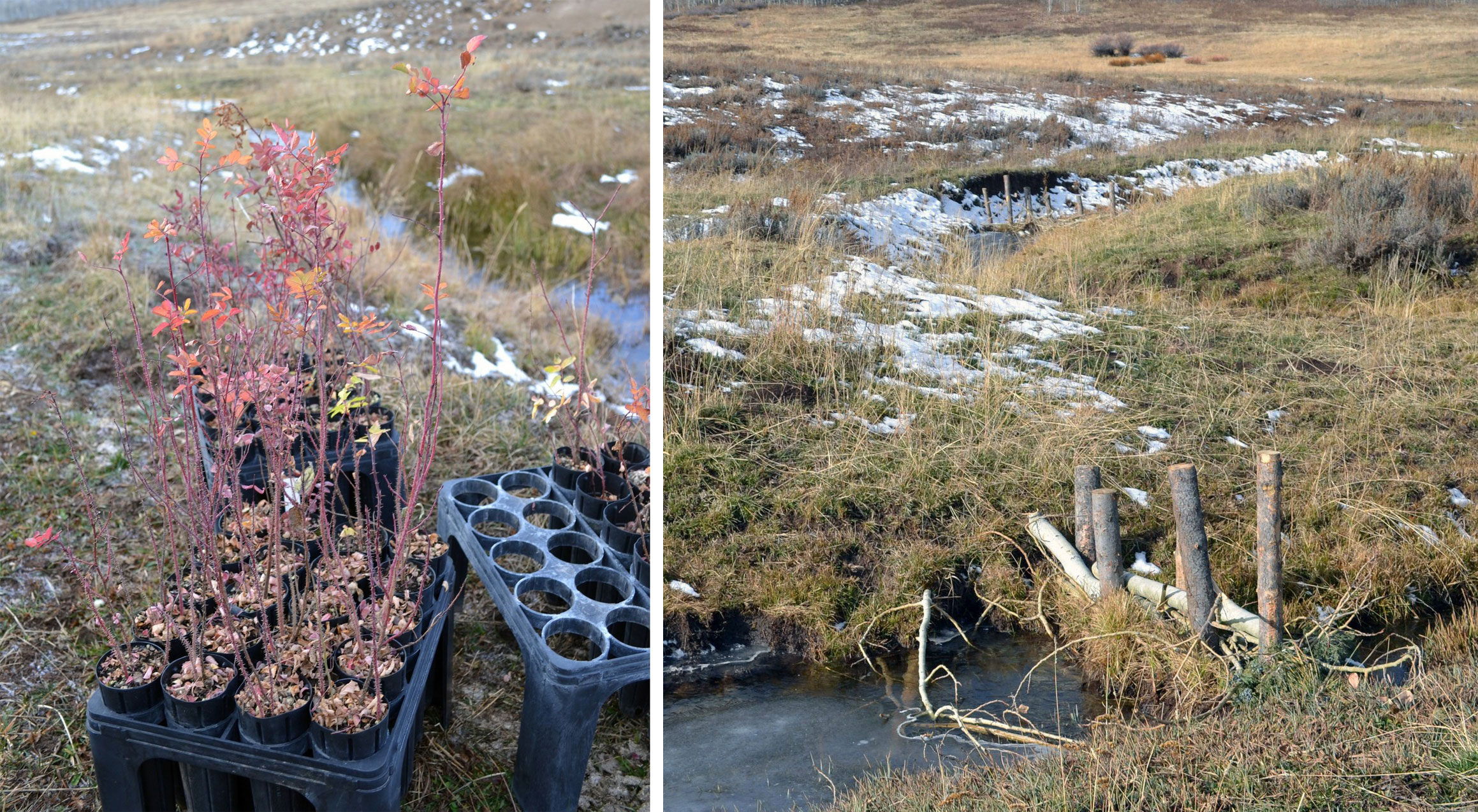 Utah Watershed Restoration Project Gets RMEF Assistance | RMEF Media ...