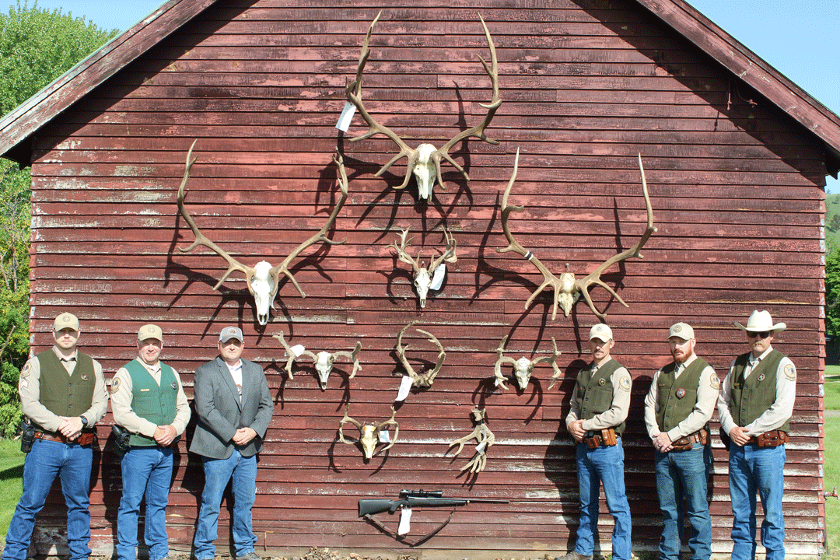 Two Men Convicted of Poaching Montana Elk, Deer | RMEF Media | Rocky ...