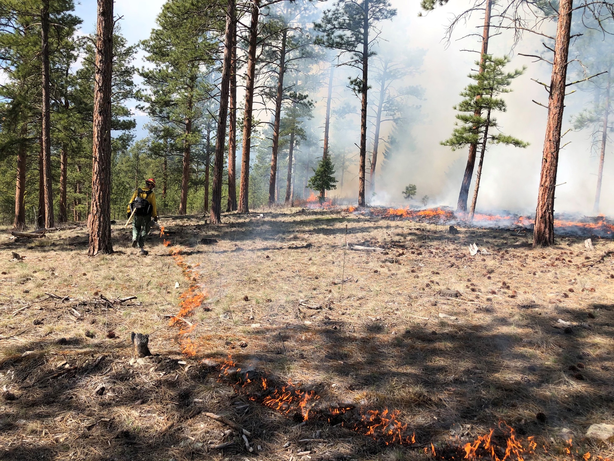 Prescribed Burn Enhances Montana Wildlife Habitat | RMEF Media | Rocky ...