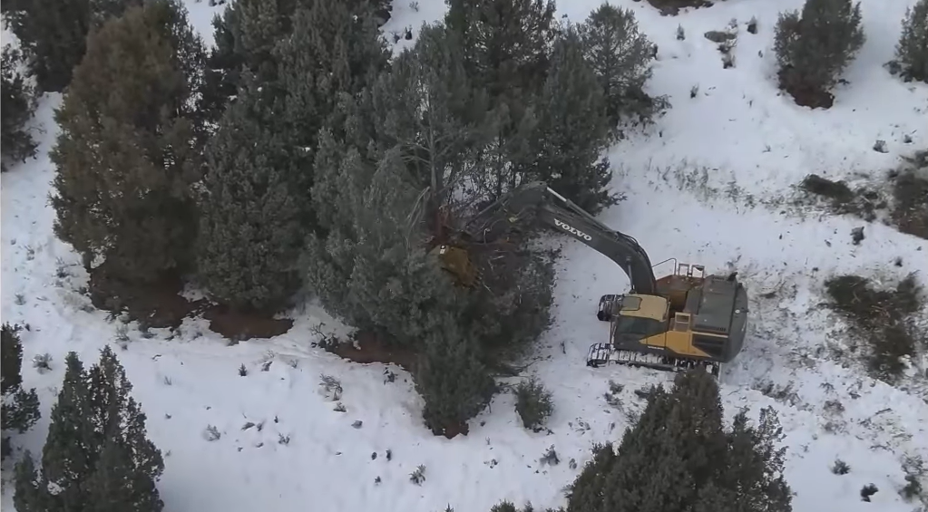 Juniper Removal Helps Utah Elk, Moose, Deer | RMEF Media | Rocky ...