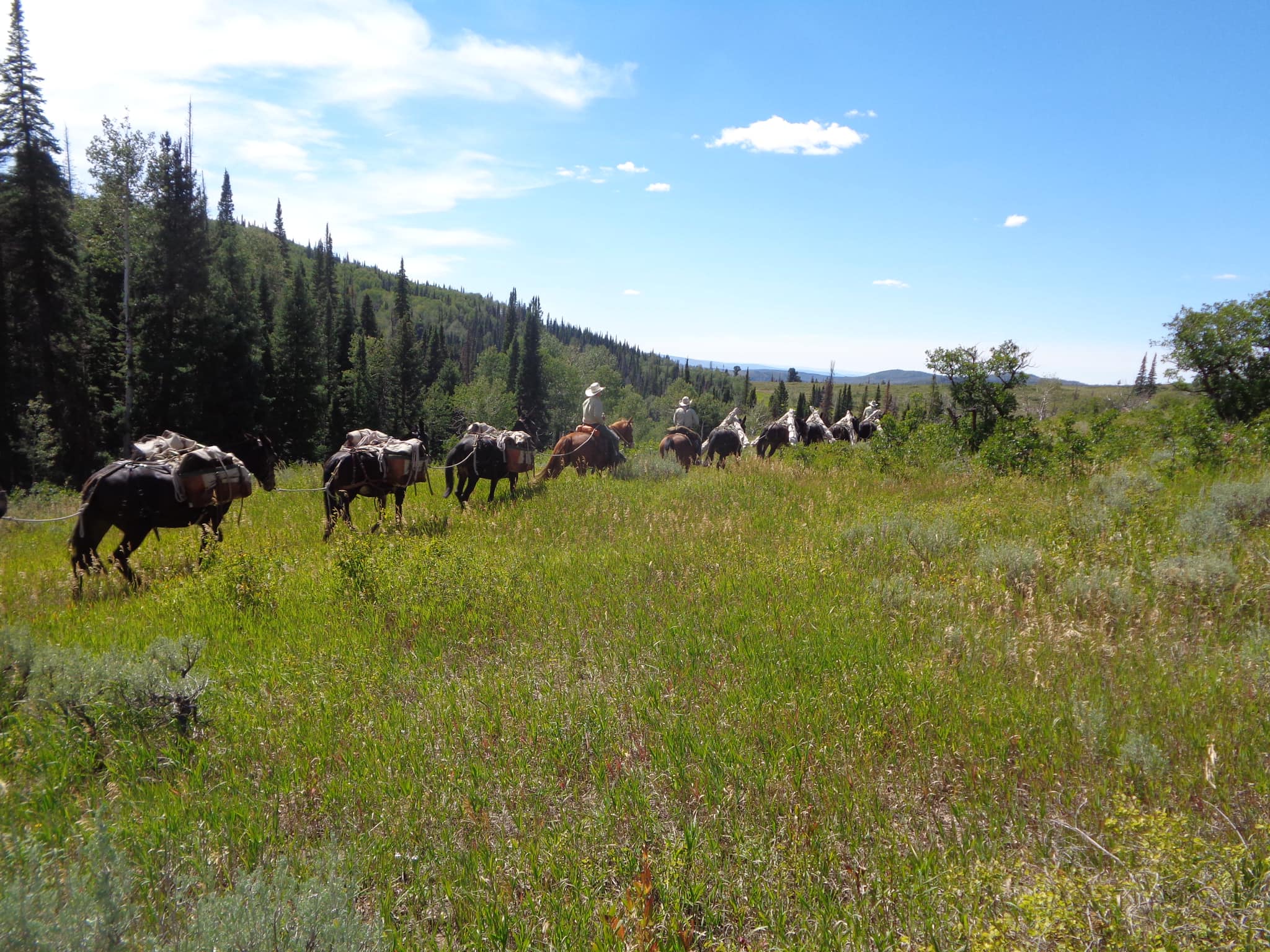 Rocky Mountain High: Habitat Work, ‘Brutal’ Mosquitoes and a Wedding ...