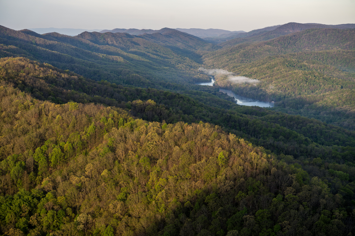 Public Hunting Access Expands in Kentucky | RMEF Media | Rocky Mountain ...