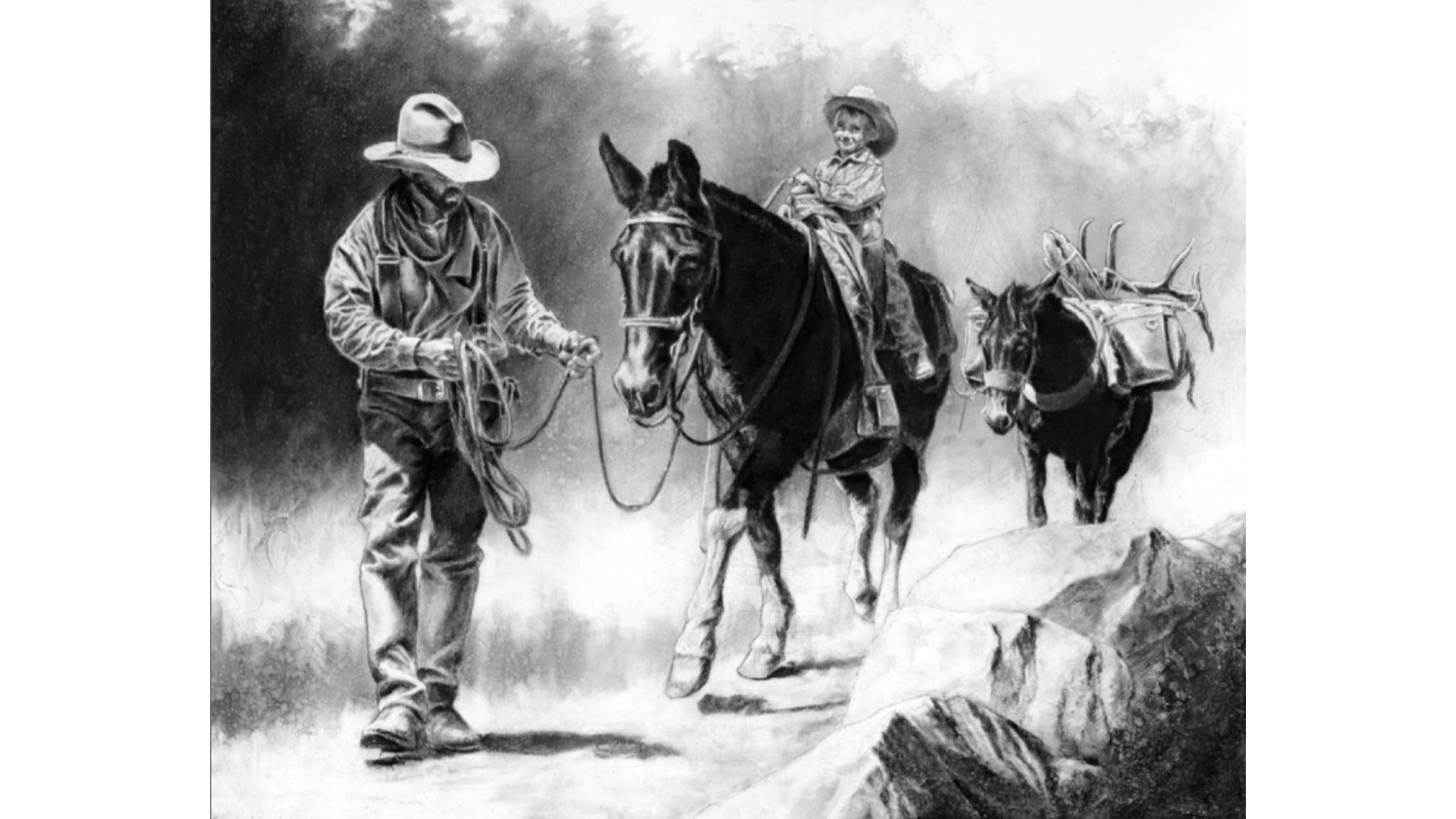 2025 Elk Country Package | RMEF Media | Rocky Mountain Elk Foundation