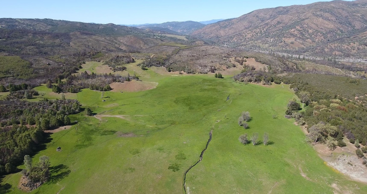 Crucial Tule Elk Habitat Conserved in California | RMEF Media | Rocky ...